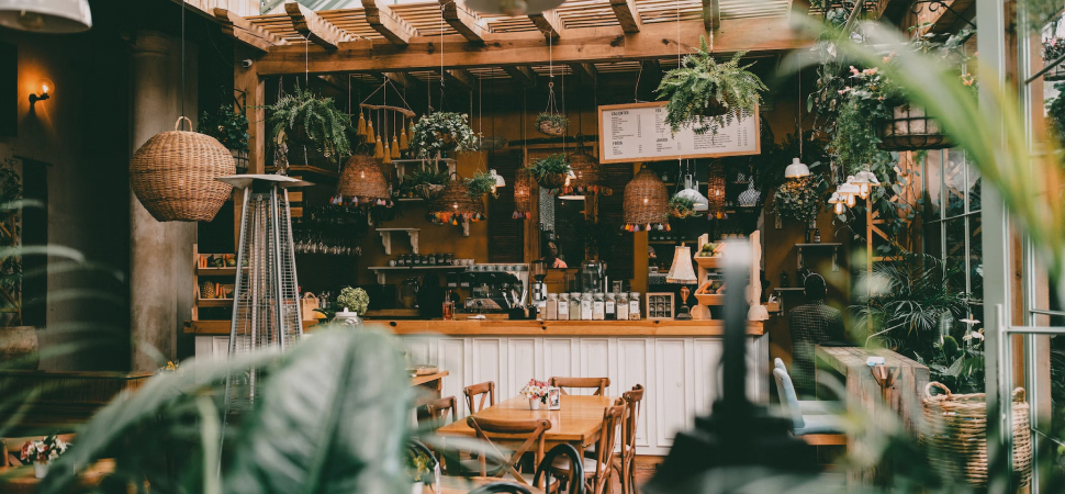 The Essential Guide To Creating Effective Restaurant Surveys